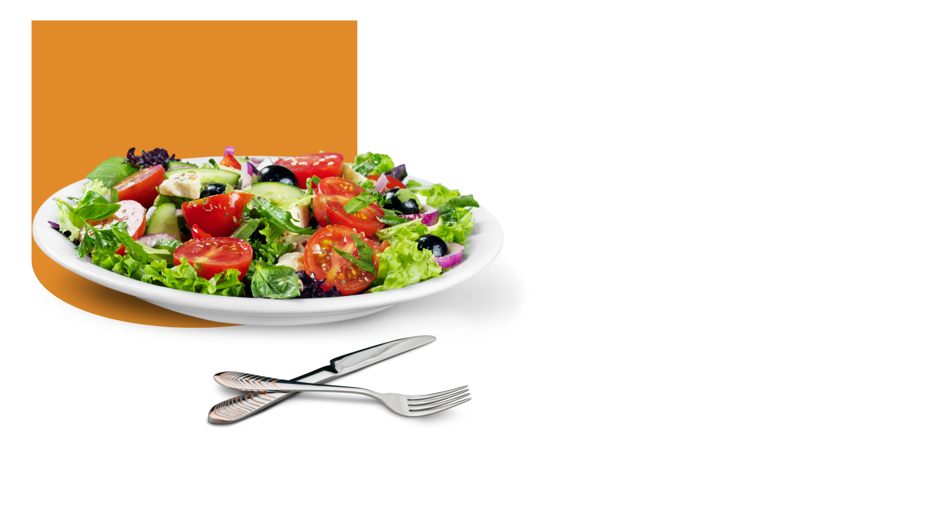 Dinner Menu - 1864 Steak House